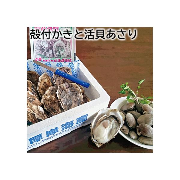 【発売日：2025年10月01日】厚岸湖で水揚げされた殻付きのカキです。生でよし、焼いても蒸しても美味しい、北の香りを存分に満喫してください。【商品提供者コメント】