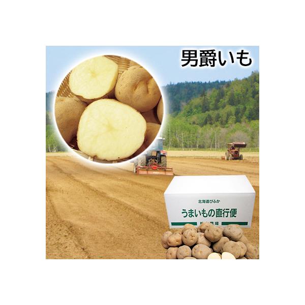 【発売日：2025年10月01日】道北の冷涼な気候で育ったじゃがいもは甘くてホクホク。【商品提供者コメント】