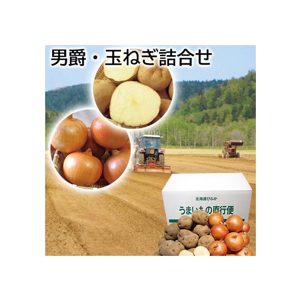 【発売日：2025年10月01日】道北の冷涼な気候で育ったじゃがいもは甘くてホクホク。ジューシーで実のしまった玉葱との組合せもお楽しみください。【商品提供者コメント】