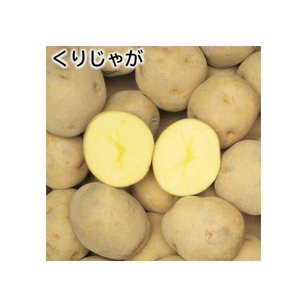 【発売日：2025年10月01日】美深のじゃがいもの中でも自慢のくりじゃが。ホクホクの甘さが人気です。【商品提供者コメント】