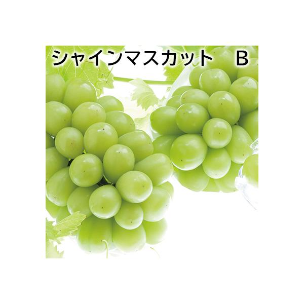 【発売日：2025年10月01日】山形県は寒暖の差が大きく果物が美味しく出来る県です。その山形県より美味しいシャインマスカットをお届けします。【商品提供者コメント】