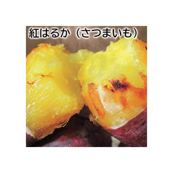 【発売日：2025年10月01日】紅はるかは糖度が高く、加熱するとしっとり食感になり、驚く程の甘さとなります。【商品提供者コメント】