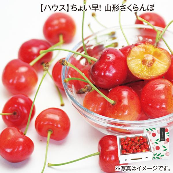 【発売日：2026年03月02日】６月下旬が旬の露地栽培のさくらんぼよりも、ちょっとだけ早くお届けできるハウス栽培のさくらんぼです。【商品提供者コメント】