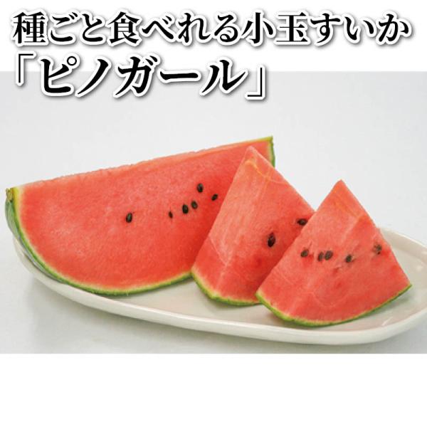 【発売日：2026年04月01日】薄くて小さい種だからパリパリと食べられる小玉すいか。【商品提供者コメント】