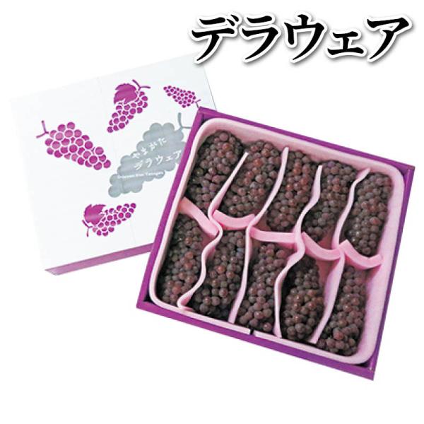 【発売日：2026年04月10日】日当たりの良い斜面で作られた種なしデラウェアです。【商品提供者コメント】