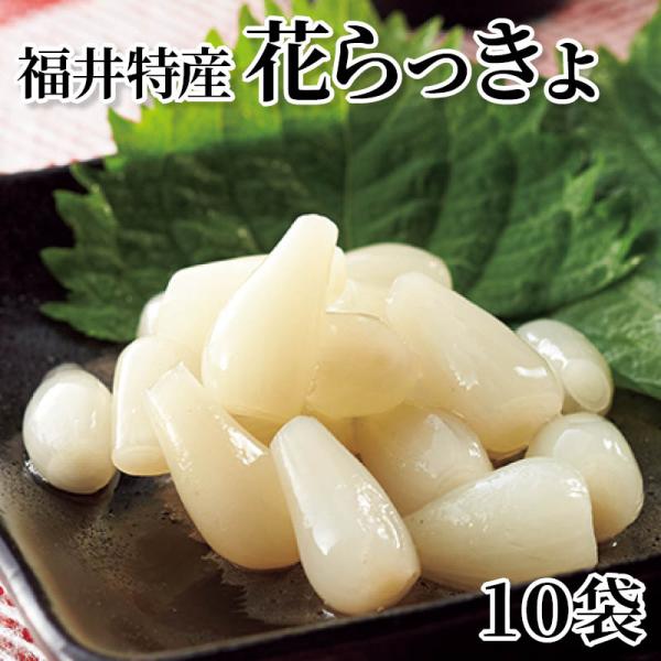 【発売日：2026年04月01日】福井県三里浜砂丘で育てられた小粒の花らっきょ。光沢があり歯切れのよさが特徴です。ついついご飯がすすみます。【商品提供者コメント】