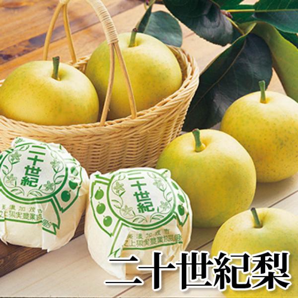 【発売日：2026年06月01日】山々の緑と眼下に木曽川・飛騨川を見おろす岐阜・山之上台地で育まれた甘さとみずみずしい梨をもぎたて直送します。【商品提供者コメント】