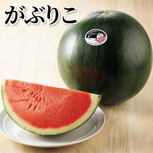 【発売日：2026年04月01日】種が少なくガブッといける『がぶりこ』、今年の夏の団欒は鳥取のスイカでお楽しみください。【商品提供者コメント】