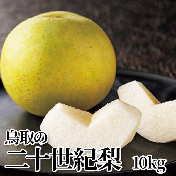 【発売日：2026年04月01日】ほどよい酸味と上品な甘さ、旬の果汁がたっぷり詰まった鳥取の二十世紀梨をお届けします。【商品提供者コメント】
