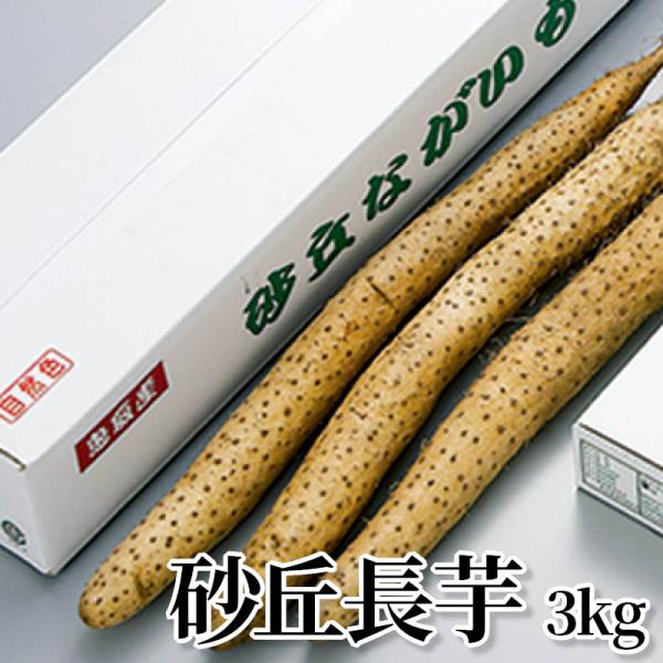 【発売日：2026年04月01日】砂丘の厳しい条件の中で育まれた砂丘長芋をお届けします。是非、お召し上がりください。【商品提供者コメント】