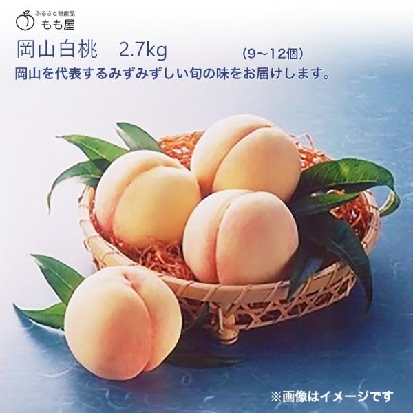 【発売日：2026年04月01日】岡山白桃は、１個１個丁寧に袋を掛けて大切に育てます。透き通るほど白く美しい果肉は、とろけるような甘さでジューシーで濃厚な味です。【商品提供者コメント】