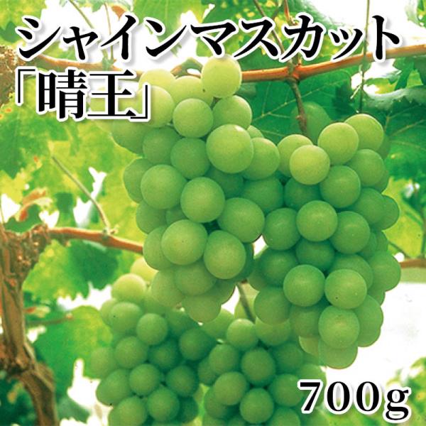 【発売日：2026年04月01日】シャインマスカットは、種がなく皮ごと食べられる種なしぶどうです。【商品提供者コメント】