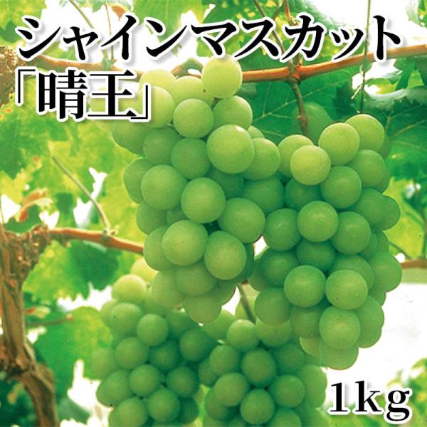 【発売日：2026年04月01日】シャインマスカットは、種がなく皮ごと食べられる種なしぶどうです。【商品提供者コメント】
