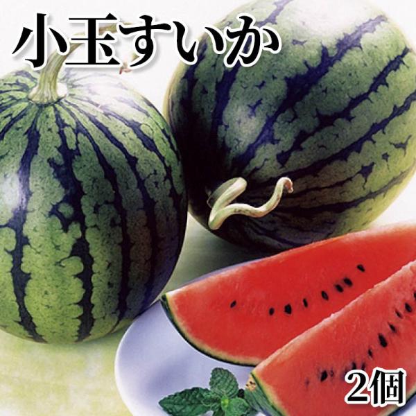 【発売日：2026年04月01日】小玉すいかは食べきりサイズの大きさで甘さ充分です。【商品提供者コメント】