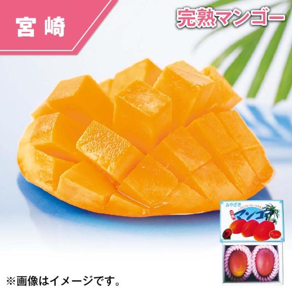 【発売日：2026年04月01日】宮崎県で太陽のめぐみを十分に受け、樹上で完熟し自然落果したマンゴー。濃厚な甘みと、とろける食感をお楽しみください。【商品提供者コメント】