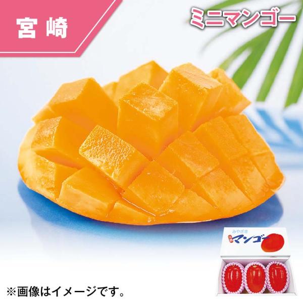 【発売日：2026年04月01日】宮崎県で太陽のめぐみを十分に受け、樹上で完熟し自然落果したマンゴー。濃厚な甘みと、とろける食感をお楽しみください。【商品提供者コメント】