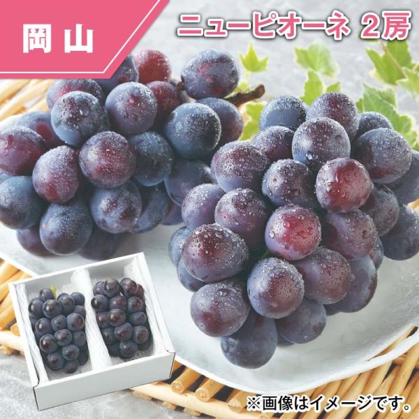 【発売日：2026年04月01日】まろやかな甘さと食味の良さ、皮がむきやすく種がないので食べやすいニューピオーネ。果汁の多さも魅力です。【商品提供者コメント】
