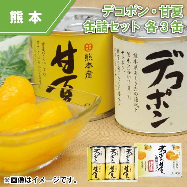 【発売日：2026年04月01日】熊本県産のデコポンと甘夏の果肉を缶詰にした商品です。デコポンの甘い果肉と甘夏の甘酸っぱい果肉がシロップと調和し、食べ応えがあります。【商品提供者コメント】