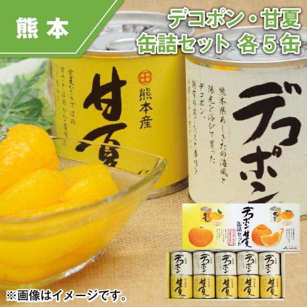 【発売日：2026年04月01日】熊本県産のデコポンと甘夏の果肉を缶詰にした商品です。デコポンの甘い果肉と甘夏の甘酸っぱい果肉がシロップと調和し、食べ応えがあります。【商品提供者コメント】