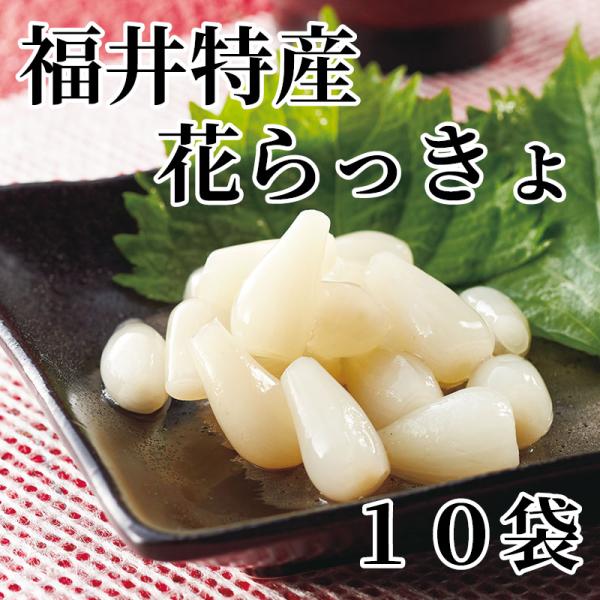 【発売日：2026年10月01日】福井県三里浜砂丘で育てられた小粒の花らっきょ。光沢があり歯切れのよさが特徴です。ついついご飯がすすみます。【商品提供者コメント】
