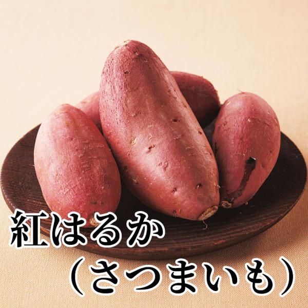 【発売日：2026年10月01日】紅はるかは糖度が高く、加熱するとしっとり食感になり、驚く程の甘さとなります。【商品提供者コメント】