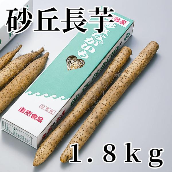 【発売日：2026年10月01日】砂丘の厳しい条件の中で育まれた砂丘長芋をお届けします。是非、お召し上がりください。【商品提供者コメント】