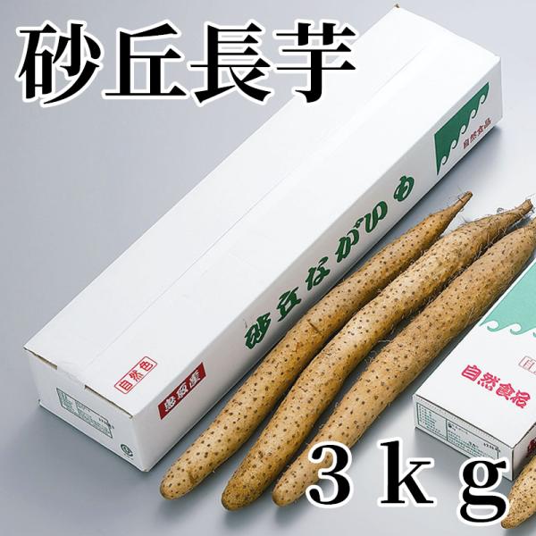 【発売日：2026年10月01日】砂丘の厳しい条件の中で育まれた砂丘長芋をお届けします。是非、お召し上がりください。【商品提供者コメント】