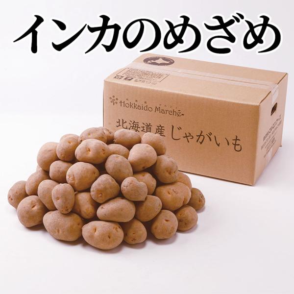 【発売日：2026年10月01日】インカのめざめは栗やナッツのような旨味と甘み、黄色い果肉の小粒種です。【商品提供者コメント】