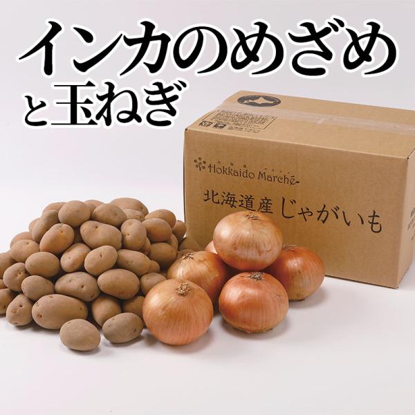 【発売日：2026年10月01日】インカのめざめは栗やナッツのような旨味と甘み、黄色い果肉の小粒種です。道産の玉ねぎは果肉が厚く大玉でとってもジューシーです。【商品提供者コメント】