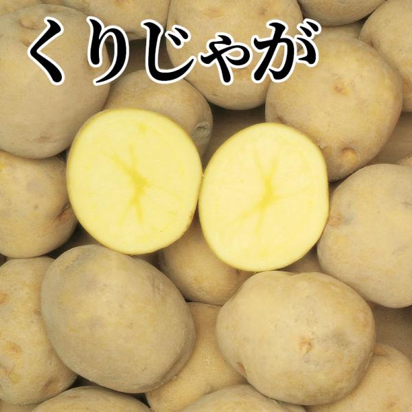 【発売日：2026年10月01日】美深のじゃがいもの中でも自慢のくりじゃが。ホクホクの甘さが人気です。色々なメニューでお楽しみください。【商品提供者コメント】
