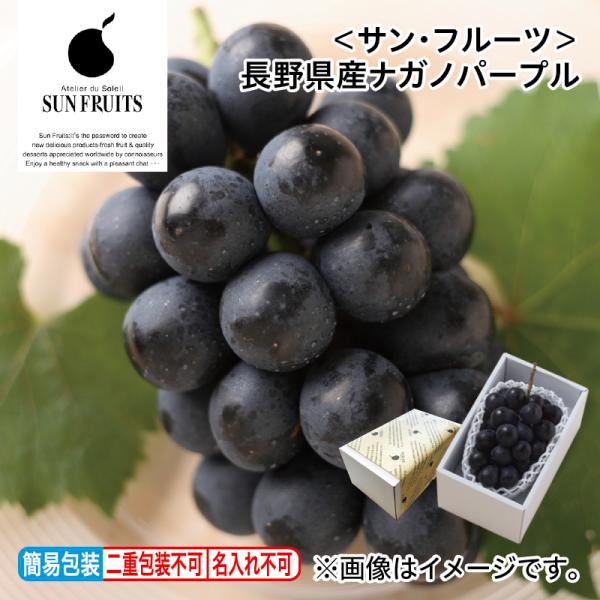 【発売日：2026年05月18日】黒系のぶどうで、種も無く果皮も薄いため、皮ごと召し上がれる味の濃い品種となっております。【商品提供者コメント】