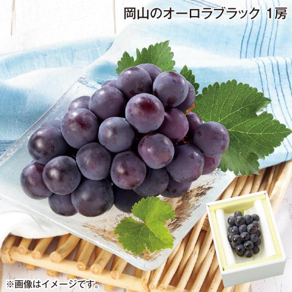 【発売日：2026年05月18日】岡山県で開発されたオーロラブラックは、ピオーネのように大粒で、黒い皮を持っています。甘み・香りが強く、粒が軸から外れにくく輸送に向いていることからも贈答用に喜ばれています。【商品提供者コメント】