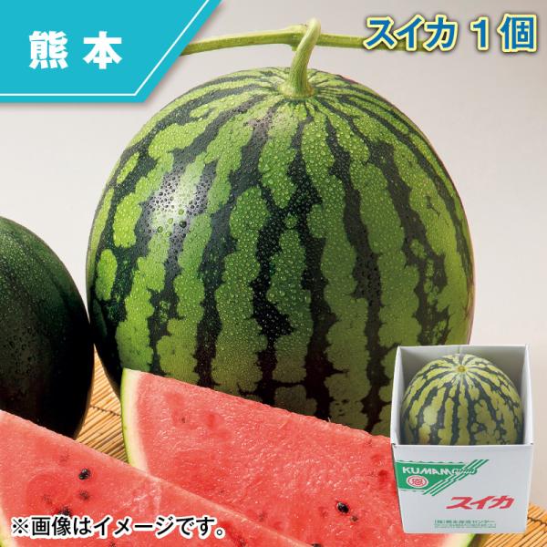 【発売日：2026年07月01日】スイカはシャキッとした歯ざわりと爽やかな甘さが特徴です。ご自宅用、ご贈答用としてもおすすめです。【商品提供者コメント】