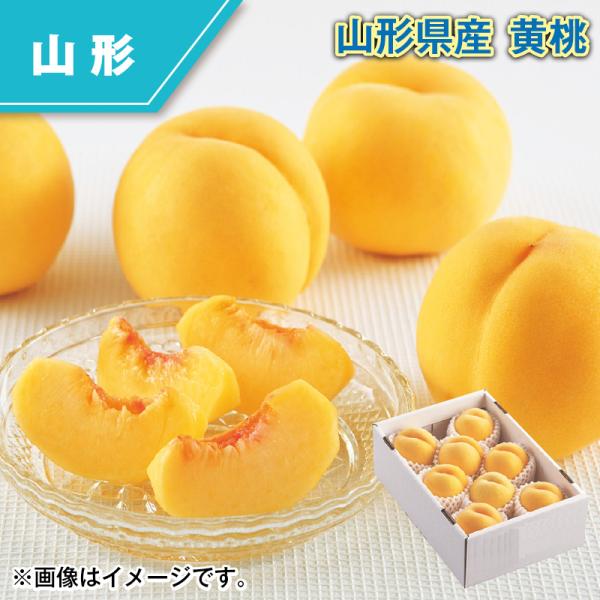 【発売日：2026年07月01日】南国フルーツを連想させるような芳醇な香りと味わいの黄桃です。しっかりとした食感が特徴です。【商品提供者コメント】