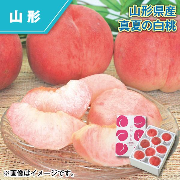 【発売日：2026年07月01日】果樹王国山形県から、まったりと甘い果肉の白桃をお届け。その時期一番旬の品種をお届けいたします。【商品提供者コメント】