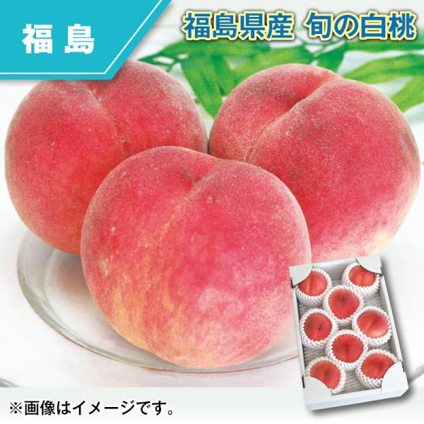 【発売日：2026年07月01日】７月〜９月の間、その時期一番旬の新鮮な桃をお届けします。桃の産地、福島県の自慢の桃です。【商品提供者コメント】