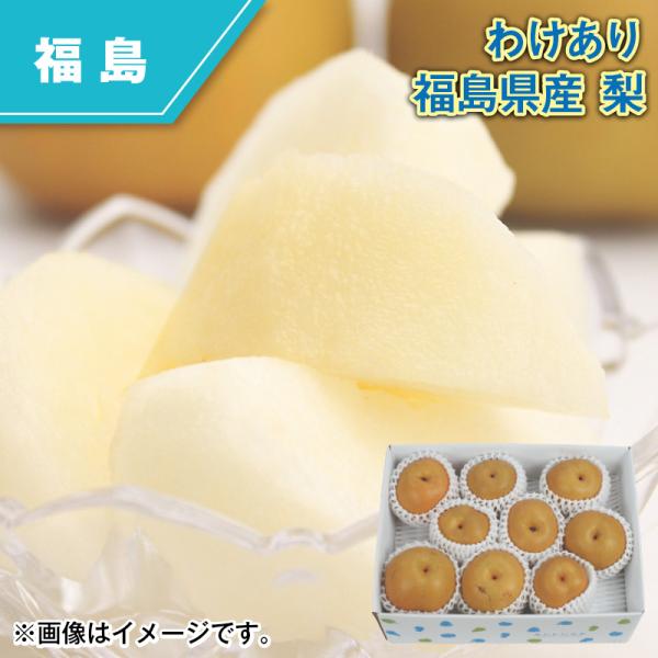 【発売日：2026年07月01日】福島県より、お買い得な和梨をお届けいたします。傷あり、サイズ不揃いのわけあり品ですが、旬の美味しさをお楽しみいただけます。【商品提供者コメント】