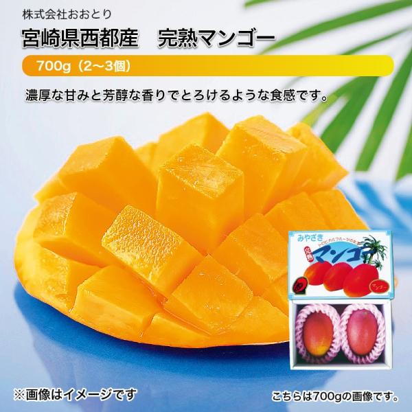 【発売日：2026年07月01日】宮崎県で太陽の恵みを十分に受け、樹上で完熟し自然落果したマンゴー。濃厚な甘みととろける食感をお楽しみください。【商品提供者コメント】