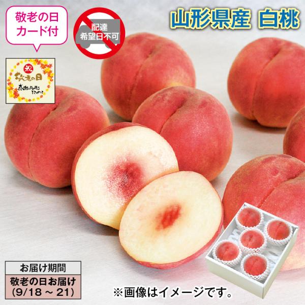 【発売日：2026年08月03日】９月に収穫される晩生種の白桃です。樹上期間が長いため、とても美味しく、贈り物に喜んでいただける商品です。【商品提供者コメント】