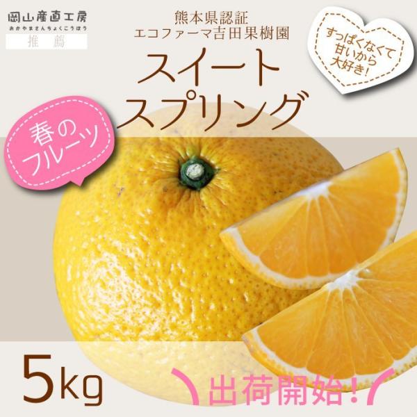 スイートスプリング 吉田果樹園のお徳用 5kgサイズ混 メーカー直送のため同梱代引不可 熊本産 吉田果樹園 送料無料 くだもの 果物 フルーツ魚粉油粕米ぬかカニガラなど、ラクトバチルス乳酸菌で発酵させ熟成した高品質肥料で豊かな土壌作り