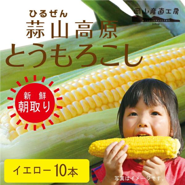 ▼ミックス10本はこちらhttps://store.shopping.yahoo.co.jp/jshop-web/corn3.html▼ミックス20本はこちらhttps://store.shopping.yahoo.co.jp/jshop-...
