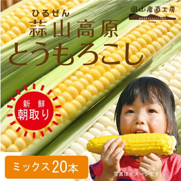 蒜山高原の黒ぼこの大地で育ったシャッキシャキのとうもろこしを産地直送でお届けします。生でも美味しい！発送当日の朝採り新鮮だから美味しさが違います！蒜山地域は、肥沃な火山灰土（黒ぼこ）の大地と、朝夕の寒暖の差があることから、甘くて良質のとうも...