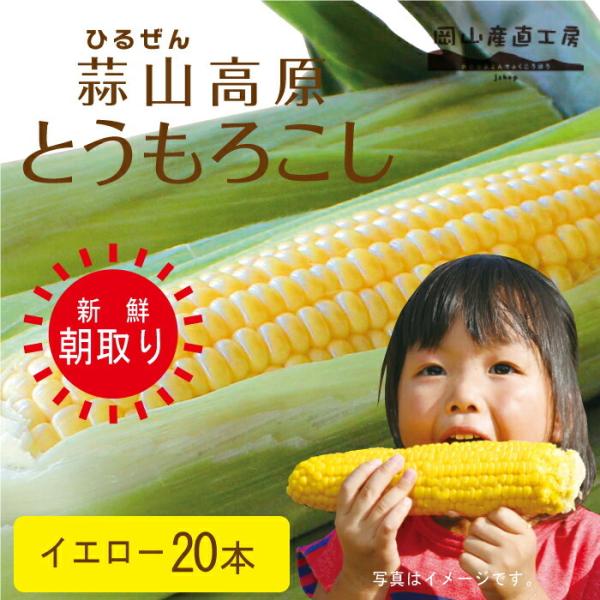 蒜山高原の黒ぼこの大地で育ったシャッキシャキのとうもろこしを産地直送でお届けします。生でも美味しい！発送当日の朝採り新鮮だから美味しさが違います！蒜山地域は、肥沃な火山灰土（黒ぼこ）の大地と、朝夕の寒暖の差があることから、甘くて良質のとうも...