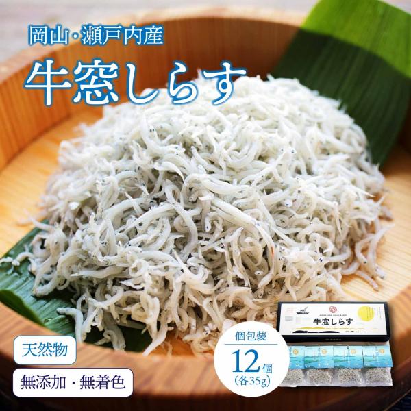 服部水産しらす ギフト 贈り物 お歳暮 お中元 プレゼント おかず 小魚 食品 魚介類 岡山県牛窓 生産直送 小分けセット 母の日 父の日 敬老の日 送料無料 牛窓しらす  12パック 天然物 無添加 無着色 極上しらす新鮮なうちにそのまま...