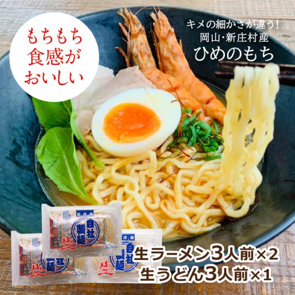 生ラーメン 生うどん ひめのもち あったか生麺セット ギフトセット メルヘン・プラザ 贈り物 お中元 食品 プレゼント お歳暮 食べ物 お礼品
