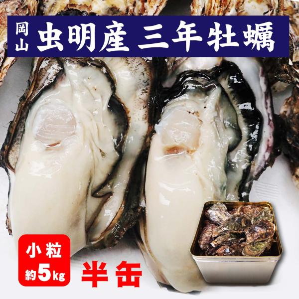 牡蠣 殻付き 岡山産 小粒半缶 5kg前後 一斗缶 加熱調理用 殻付き牡蠣 3年もの 不ぞろい 小粒あり お徳用殻付き カキ かき 送料無料 牡蛎 牡蠣むきナイフ 軍手 年末年始 北海道沖縄一部地域配送不可