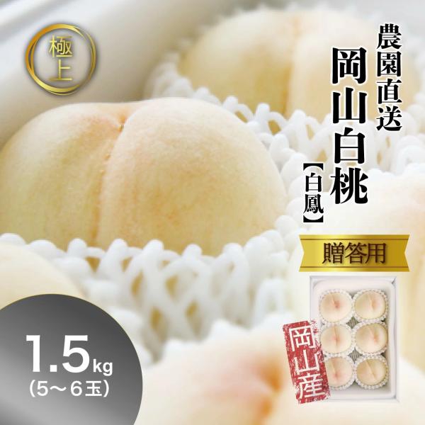 秀品 桃 白桃 岡山白桃 1.5kg前後  5〜6玉 モモ もも momo 贈答用 ギフト 白鳳  産直 高級 フルーツ 果物 くだもの プレゼント 美味しい お見舞い お供え 旬 お中元 北海道沖縄一部地域配送不可 送料無料 中生