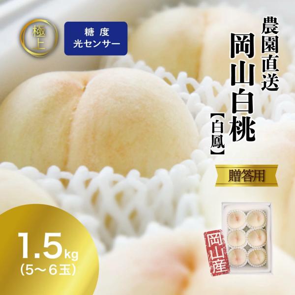 特秀品 桃 糖度センサー 白桃 岡山白桃  1.5kg前後  モモ もも momo 贈答 ギフト 白鳳 産直 高級 フルーツ 果物 くだもの プレゼント お見舞い お供え 旬 お中元 北海道沖縄一部地域配送 送料無料 贈答品　贈り物 はくとう