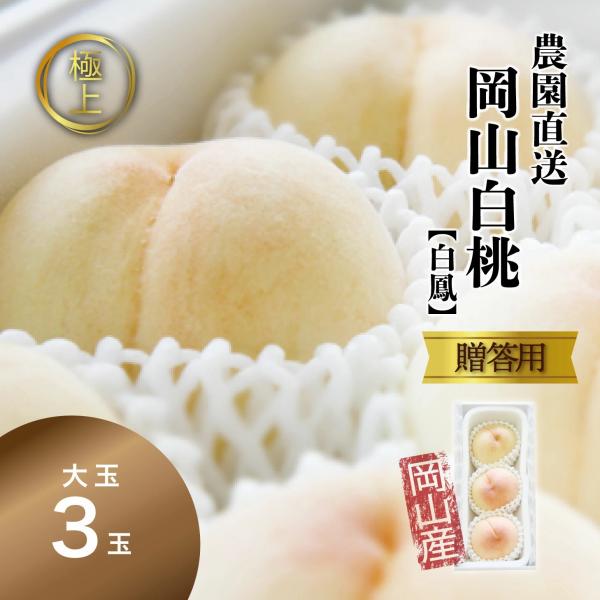 秀品 桃 白桃 岡山白桃 白鳳 大玉3玉 ギフト モモ もも momo 産直 高級 フルーツ 果物 くだもの プレゼント 御中元 暑中見舞い 美味しい お見舞い お供え 北海道沖縄一部地域配送不可 送料無料