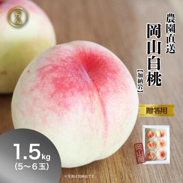 【発売日：2025年06月01日】秀品 桃 白桃 岡山白桃 1.5kg前後  5〜6玉 モモ もも momo 贈答用 ギフト はなよめ 加納岩 産直 高級 フルーツ 果物 くだもの プレゼント 美味しい お見舞い お供え 旬 お中元 贈り物...